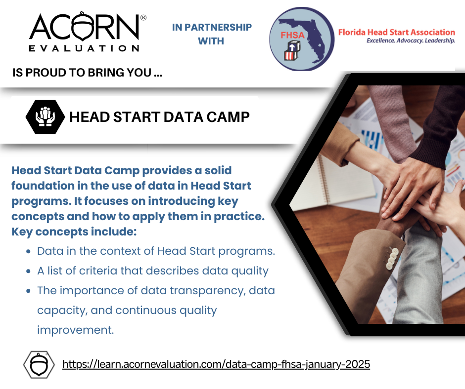 November 2024 Newsletter